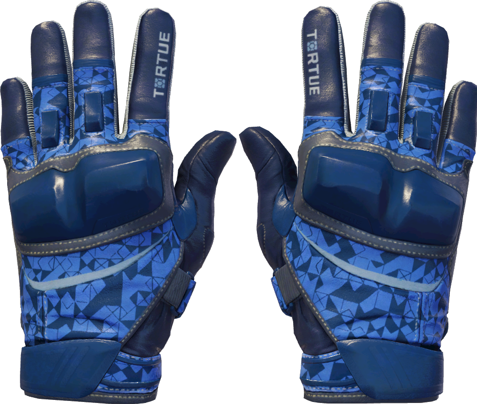 Moto Gloves | Polygon - CS2 - BLEIK Store